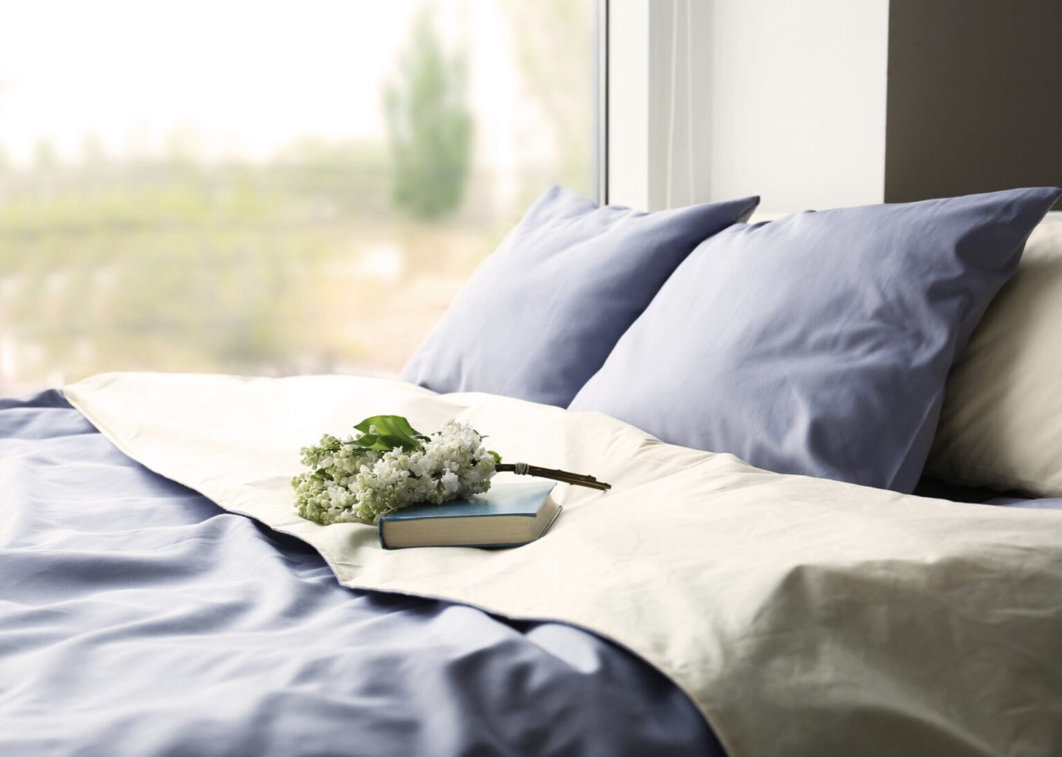 Must-Have Bedroom Essentials for Your Comfort - Home-Tips.co