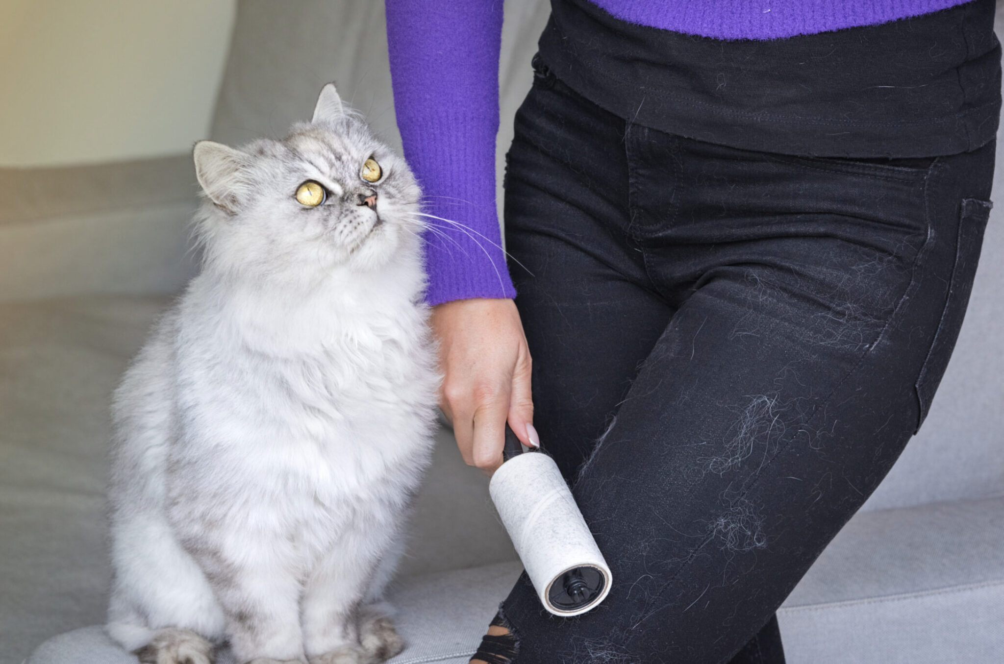 Great gadgets to use for cleaning up hair at home - Home-Tips.co